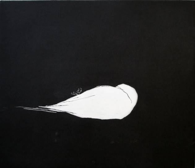 White bird | Amare.no kunst nettbutikk, over 200 kunstnere, 6000 kunstverk